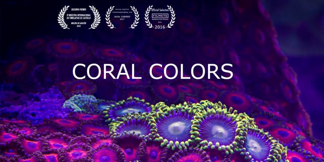 Coral Colors - Trippy.me