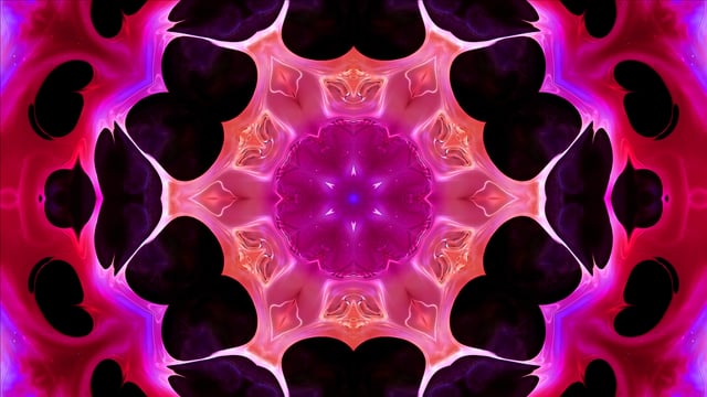 Fluidity - Trippy.me