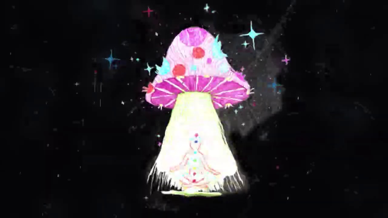 Trippy Videos - Trippy.me
